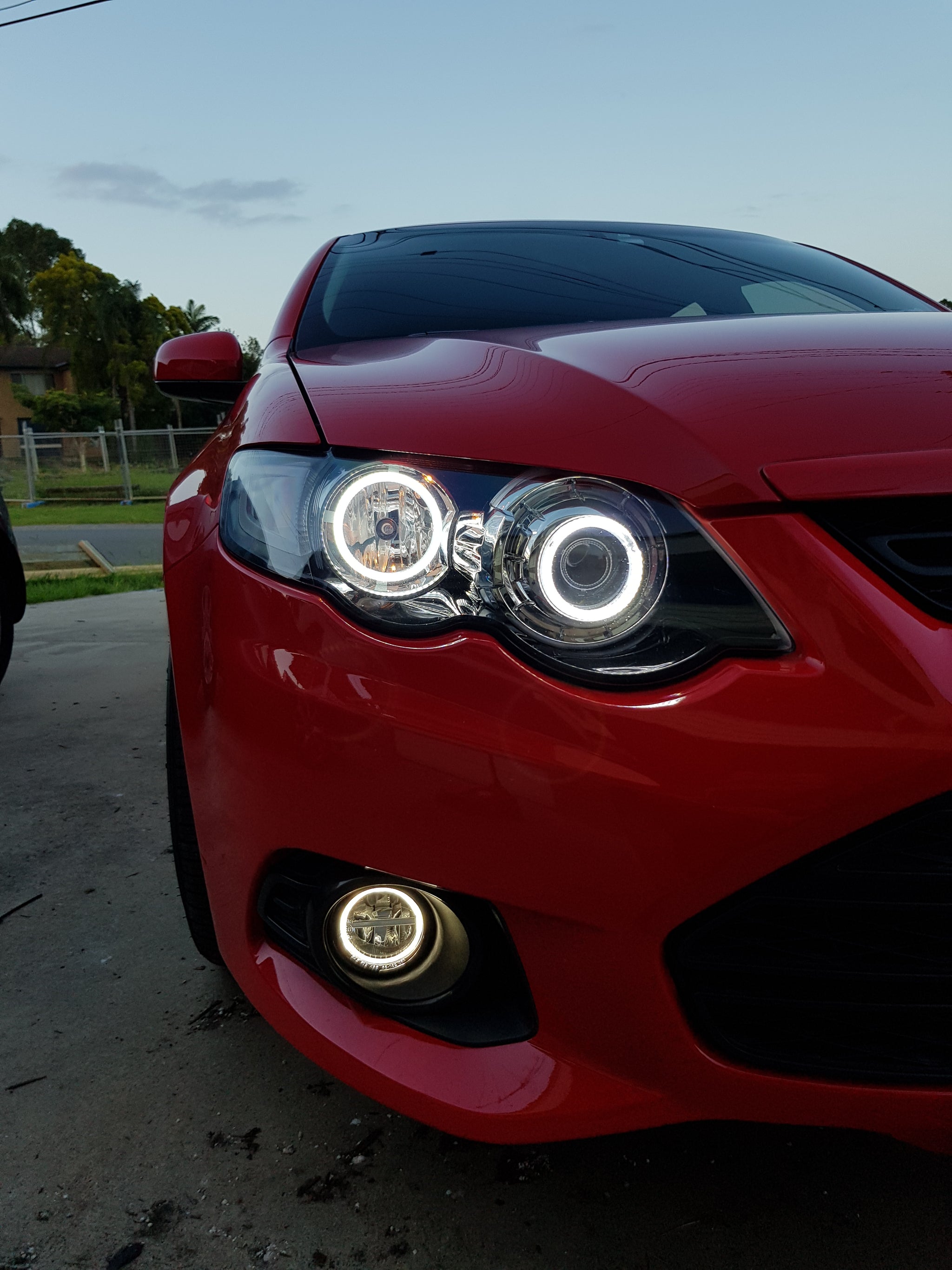 Fog Lights | Dan's Custom Car Lights