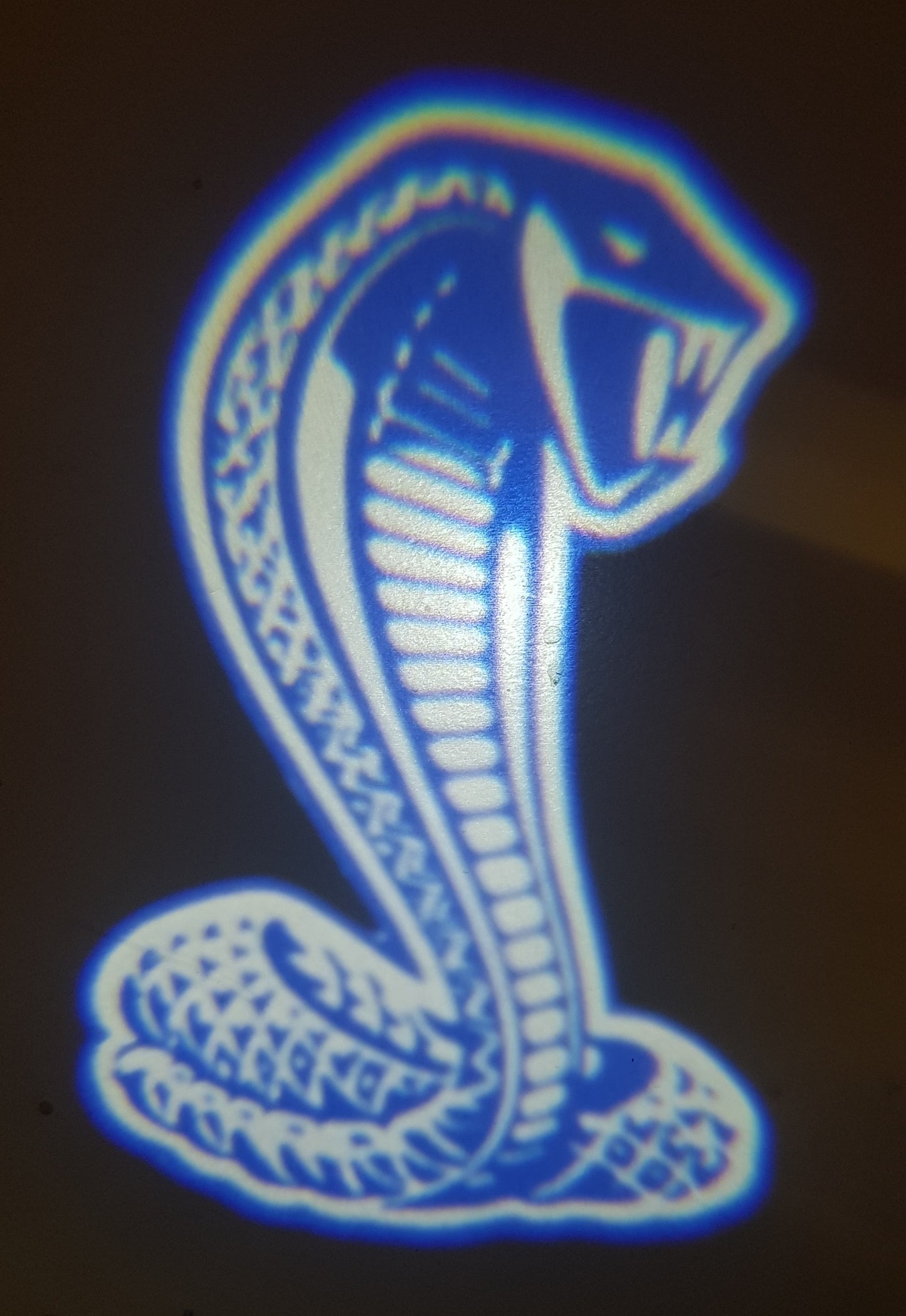 Custom LED Projector Door Shadow Lights | Dan's Custom Car Lights