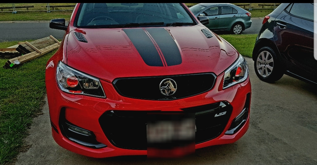 Holden VF Commodore Headlights with Multicoloured Halo Rings and Demon ...